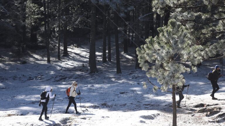 “La Suiza de México”: Arteaga, el Pueblo Mágico en Coahuila - UnoTV