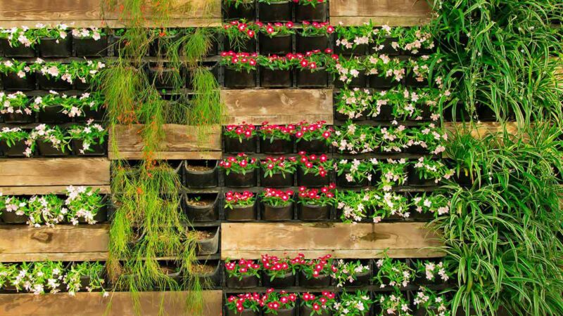 Cómo hacer un jardín vertical para aprovechar el espacio en tu casa - UnoTV