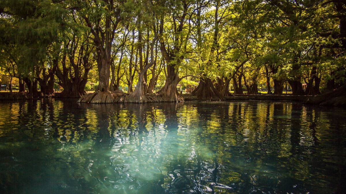 Tacámbaro de Codallos: Pueblo Mágico en Michoacán - UnoTV