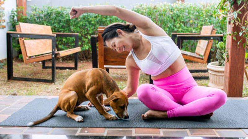 Puppy Yoga, alivia tu estrés de la mano de tu perrito - UnoTV