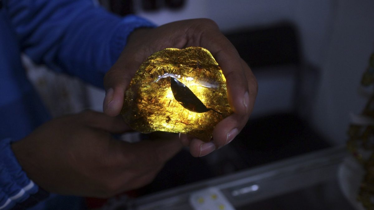 Ámbar de Chiapas llega a exposición en la CDMX - UnoTV