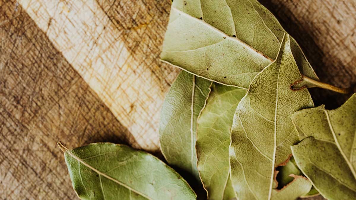 Beneficios de tomar té de laurel en ayunas - UnoTV
