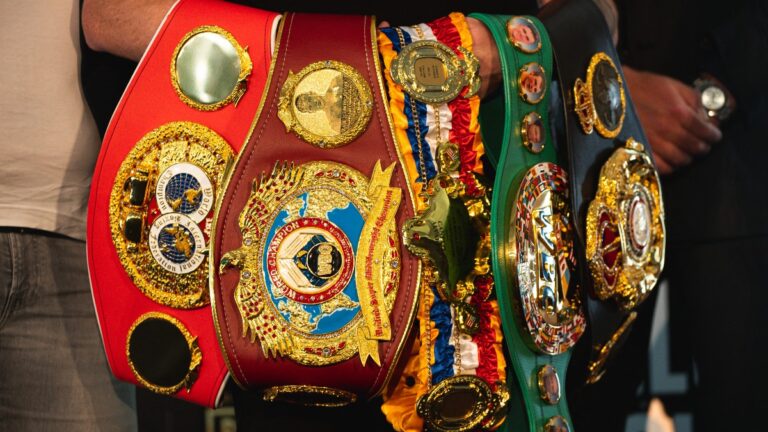 ¿Cuántas divisiones hay en el boxeo profesional?