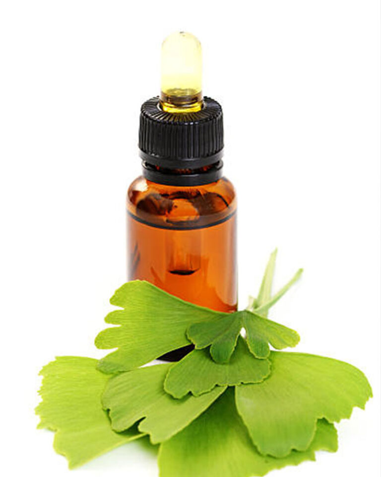 Qué es el Ginkgo biloba y para qué sirve - UnoTV