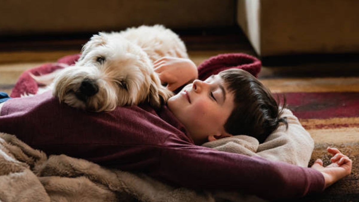 ¿Cómo enseñarles a los hijos amor y respeto por los animales? - UnoTV