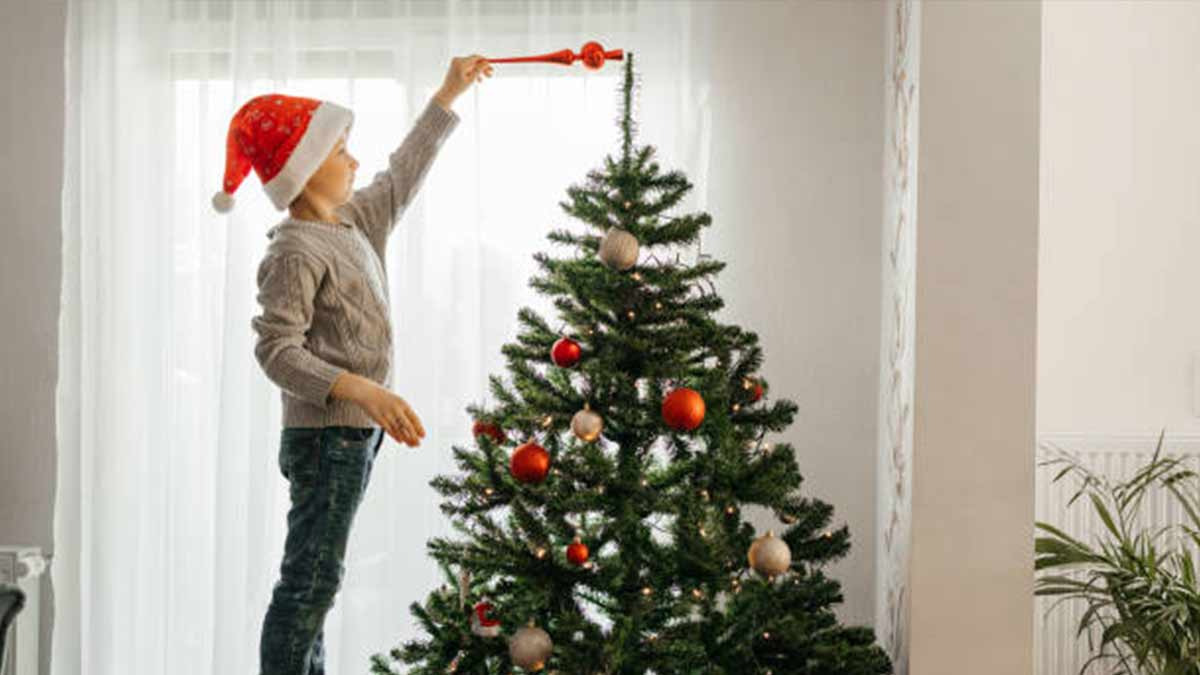 ¿Cuándo se debe de poner el árbol de Navidad? - UnoTV