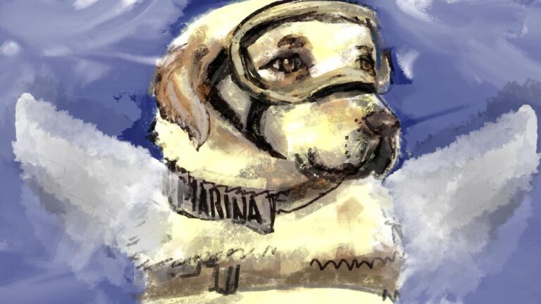 Frida la perrita rescatista es homenajeada a un año de su muerte - UnoTV