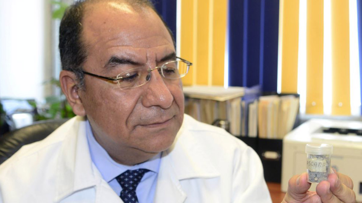 "Dinosaurios no se extinguieron del todo y siguen entre nosotros": UNAM - UnoTV