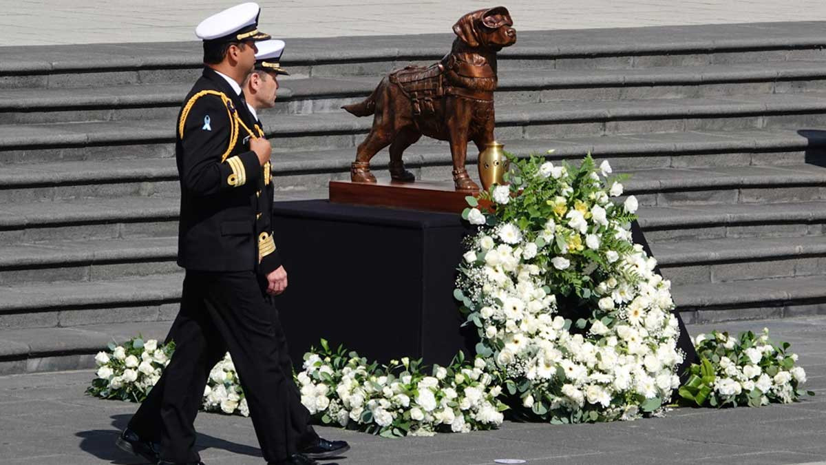 Frida la perrita rescatista es homenajeada a un año de su muerte - UnoTV