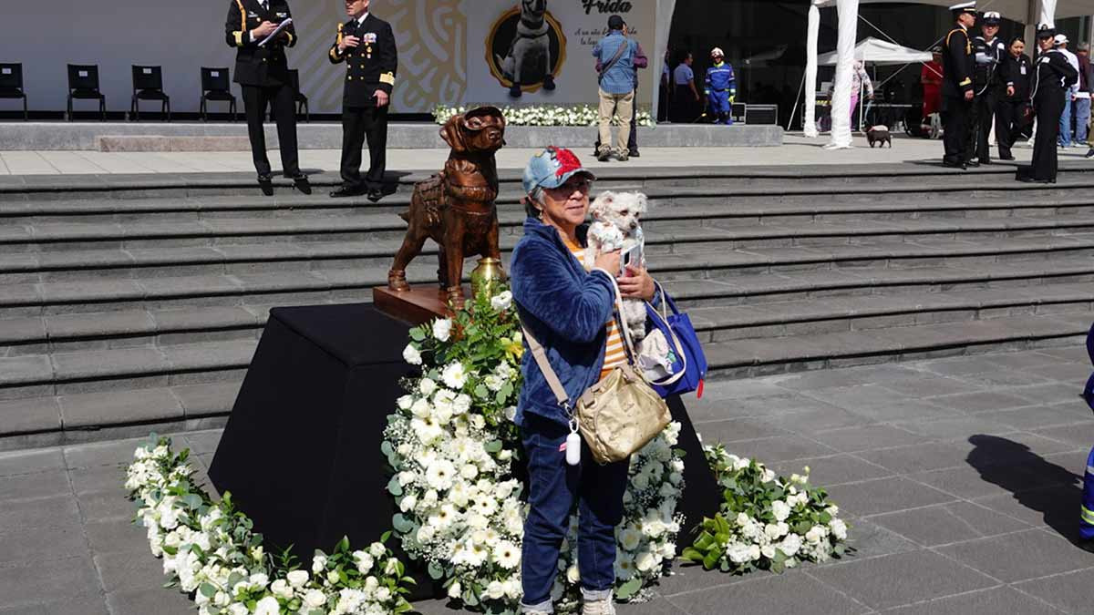 Frida la perrita rescatista es homenajeada a un año de su muerte - UnoTV