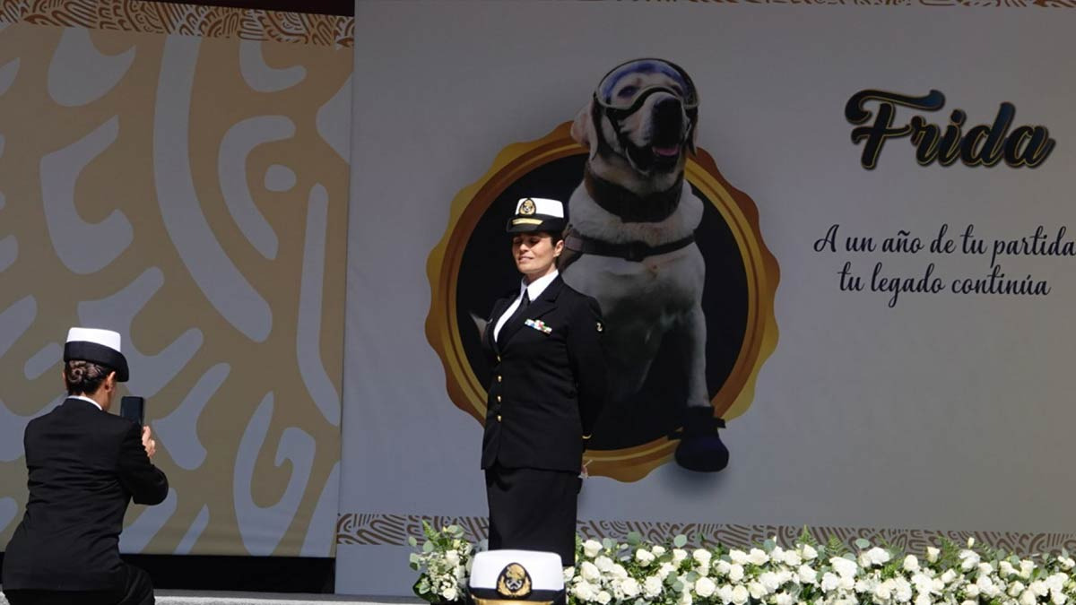 Frida la perrita rescatista es homenajeada a un año de su muerte - UnoTV