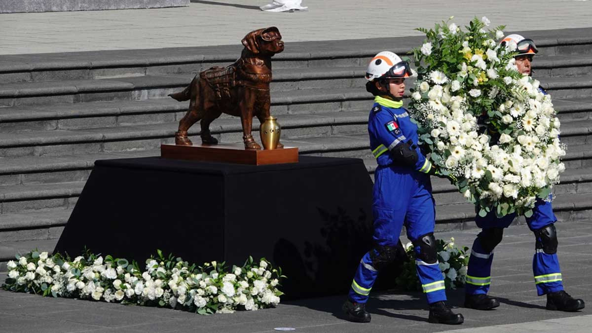 Frida la perrita rescatista es homenajeada a un año de su muerte - UnoTV