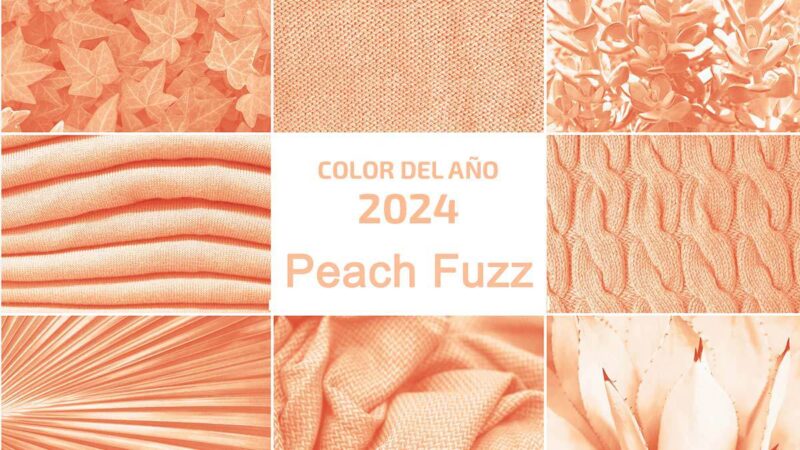 Peach Fuzz es el color del año 2024, según Pantone - UnoTV