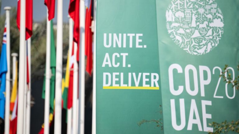 Galardonan a mexicana en la COP28 por sus proyectos climáticos - UnoTV