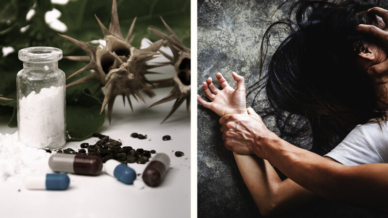 Escopolamina, así te dan esta droga que usan para robar y violar