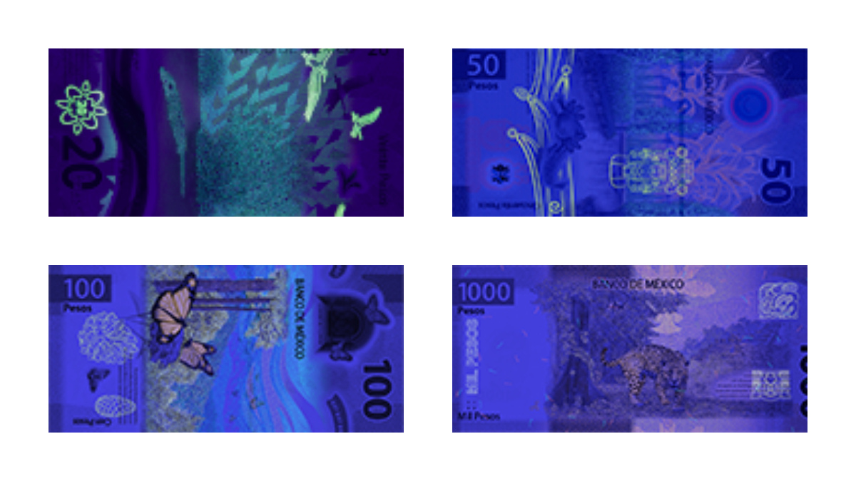 Billetes falsos: cómo usar luz ultravioleta para detectarlos y precios