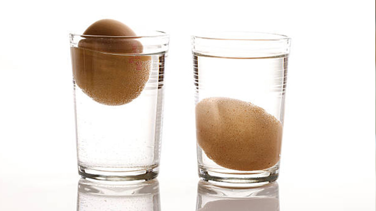 ¿Cómo saber si un huevo está fresco o no? - UnoTV