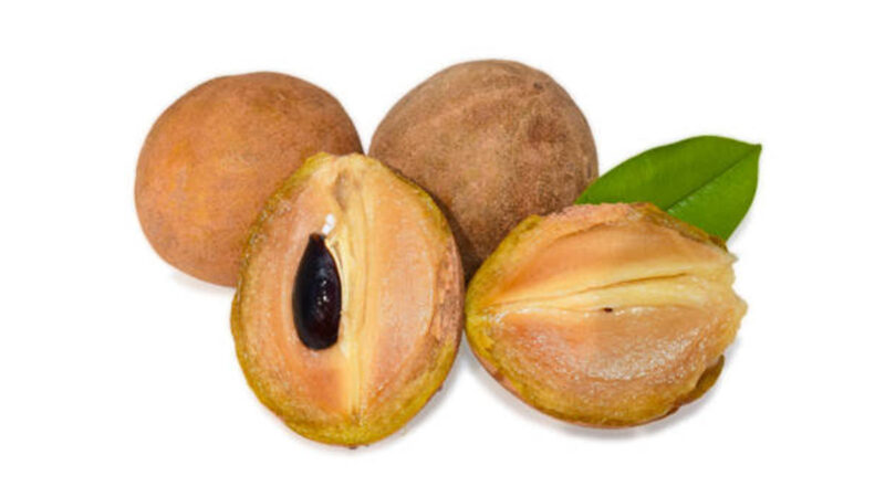 Chicle: origen, historia y dónde se inventó - UnoTV