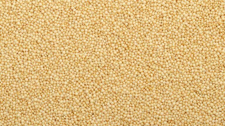 Amaranto: beneficios y propiedades - UnoTV