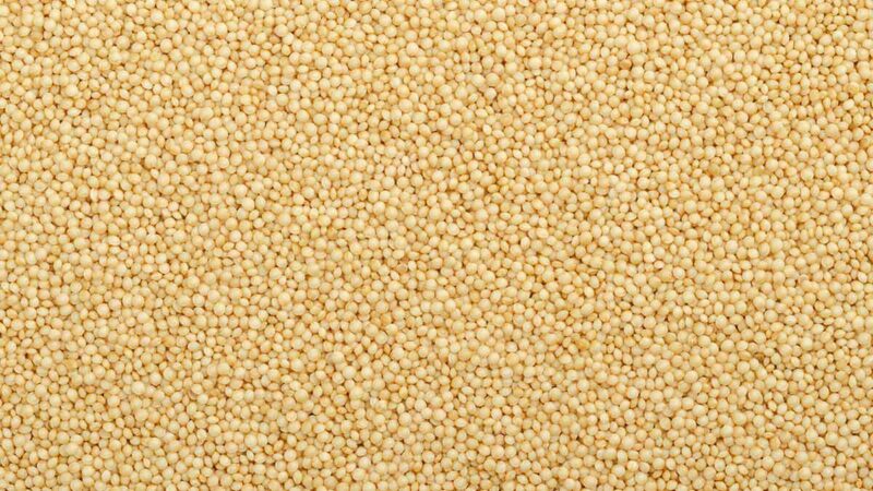 Amaranto: beneficios y propiedades - UnoTV