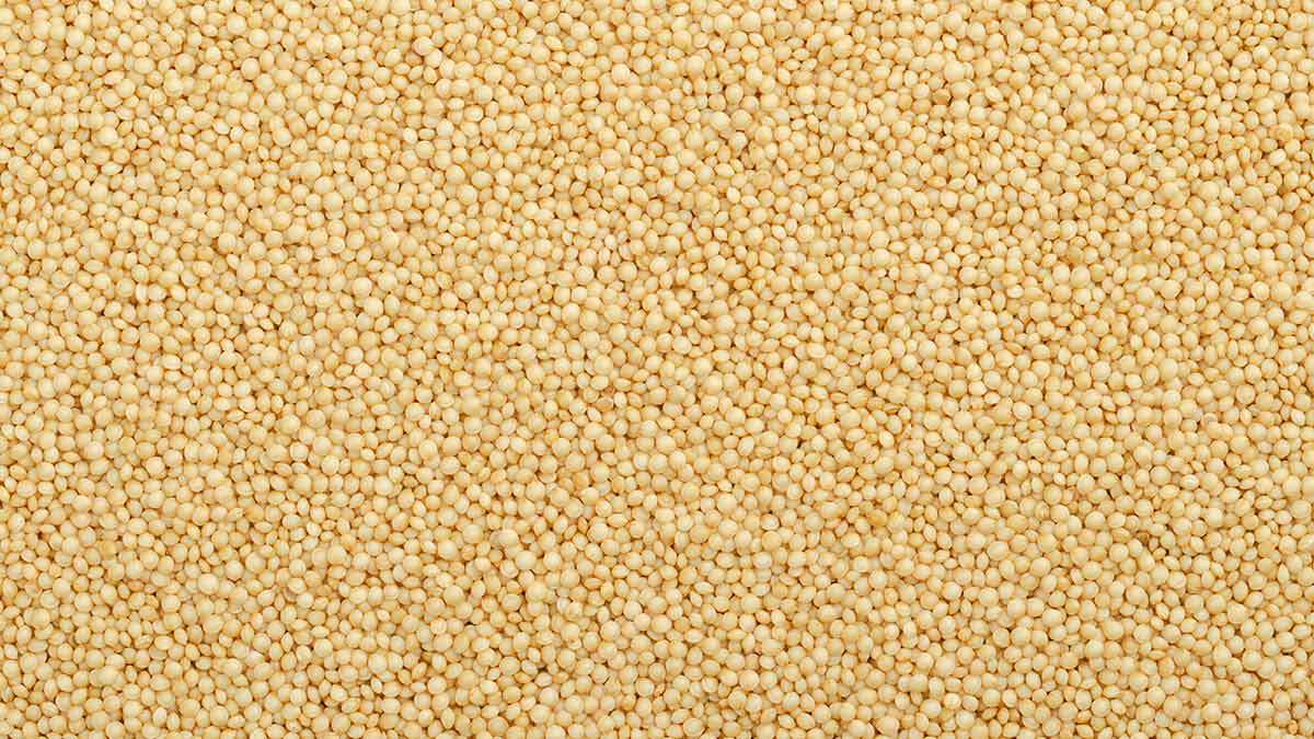 Amaranto: beneficios y propiedades - UnoTV