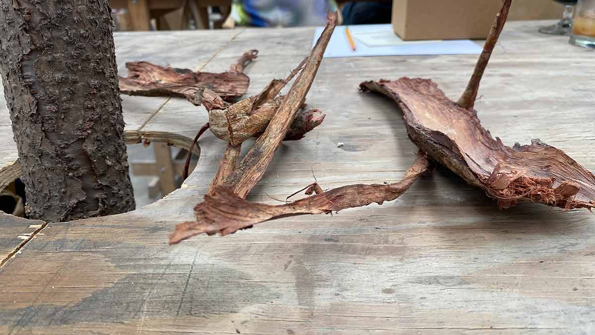 Qué es el chukum y cuáles son los beneficios de este material - UnoTV