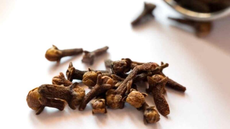 Clavo de olor: beneficios y propiedades - UnoTV