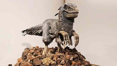 "Dinosaurios entre nosotros", conoce la exposición de Universum: fechas y costos- UnoTV