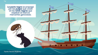 Peste negra o bubónica, ¿qué es y cuáles son sus síntomas? - UnoTV