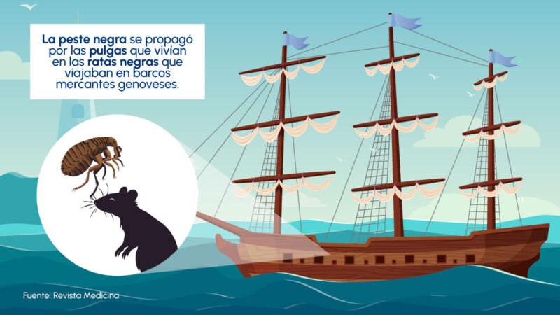 Peste negra o bubónica, ¿qué es y cuáles son sus síntomas? - UnoTV