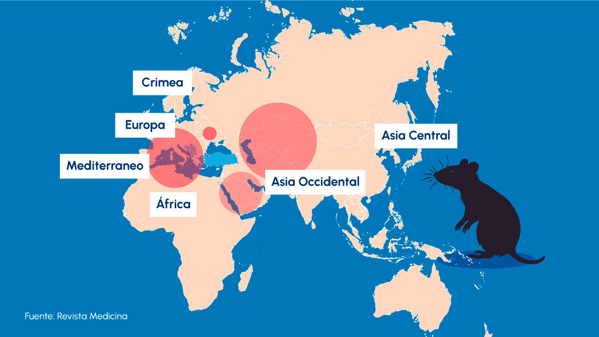 Peste negra o bubónica, ¿qué es y cuáles son sus síntomas? - UnoTV
