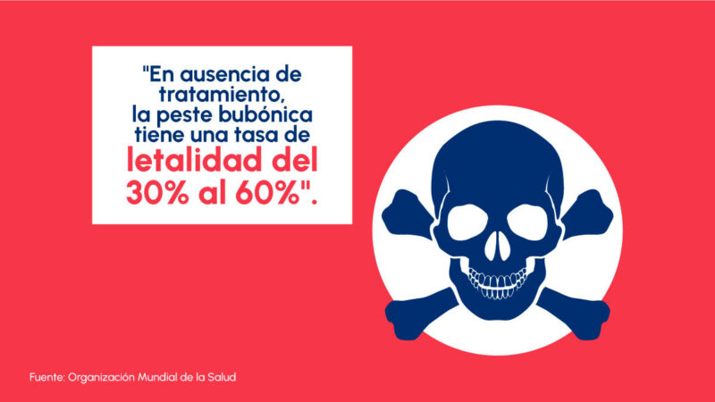 Peste negra o bubónica, ¿qué es y cuáles son sus síntomas? - UnoTV