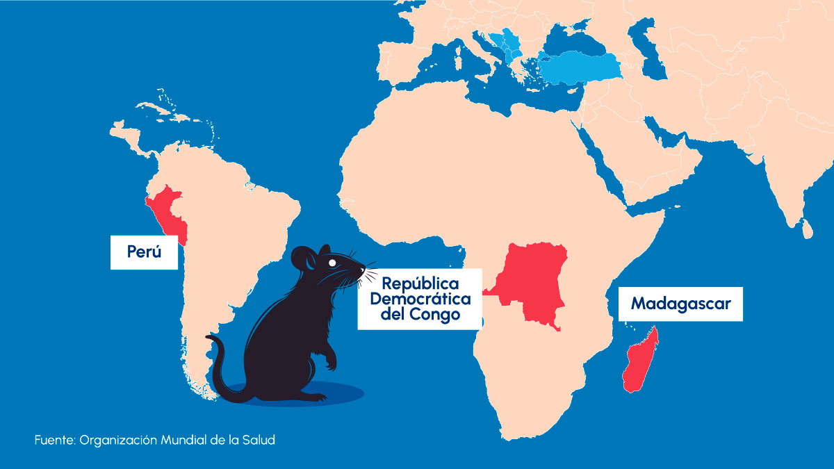 Peste negra o bubónica, ¿qué es y cuáles son sus síntomas? - UnoTV
