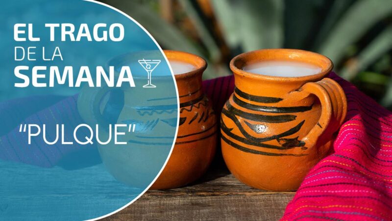 Pulque: cuáles son sus beneficios e historia - UnoTV