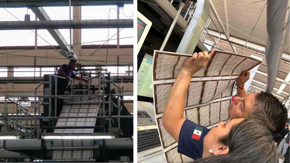 ¿Cómo son las boletas electorales 2024? - UnoTV