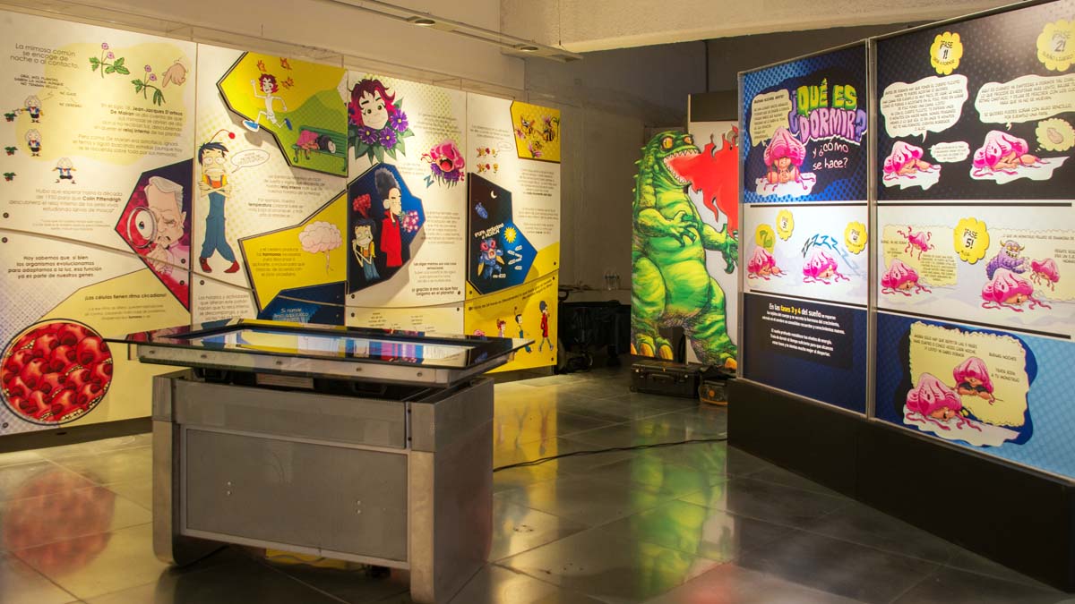 Nueva exposición de Universum revela cómo funciona el cerebro por cada ...