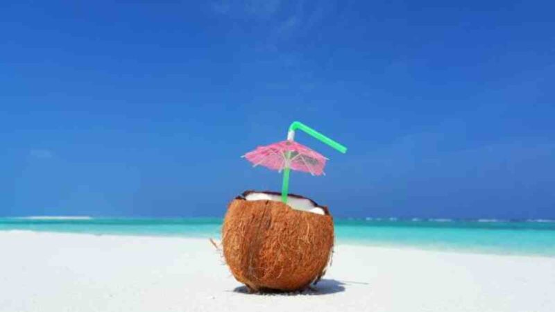 Coco loco: receta e historia de este drink - UnoTV