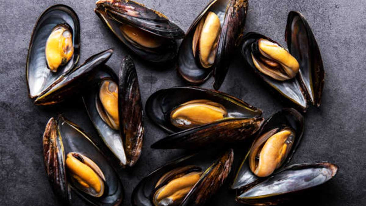 Te decimos la diferencia entre ostiones, ostras, almejas y mejillones ...