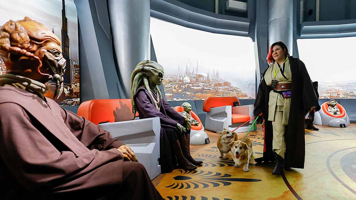 Perros Corgi participan en un desfile de Star Wars en Moscú - UnoTV