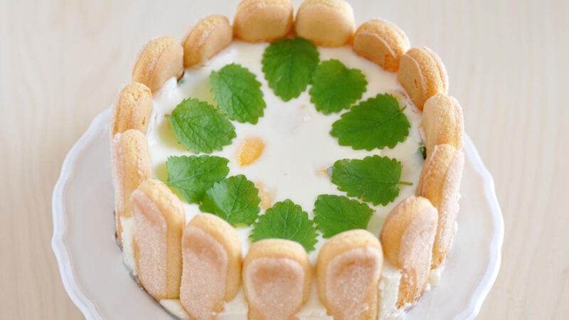 Carlota de limón mexicana, entre los mejores postres del mundo - UnoTV