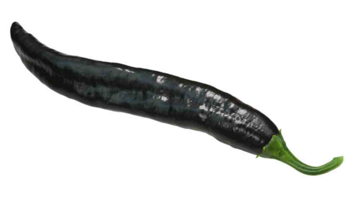 Los mejores chiles mexicanos, según Taste Atlas - UnoTV