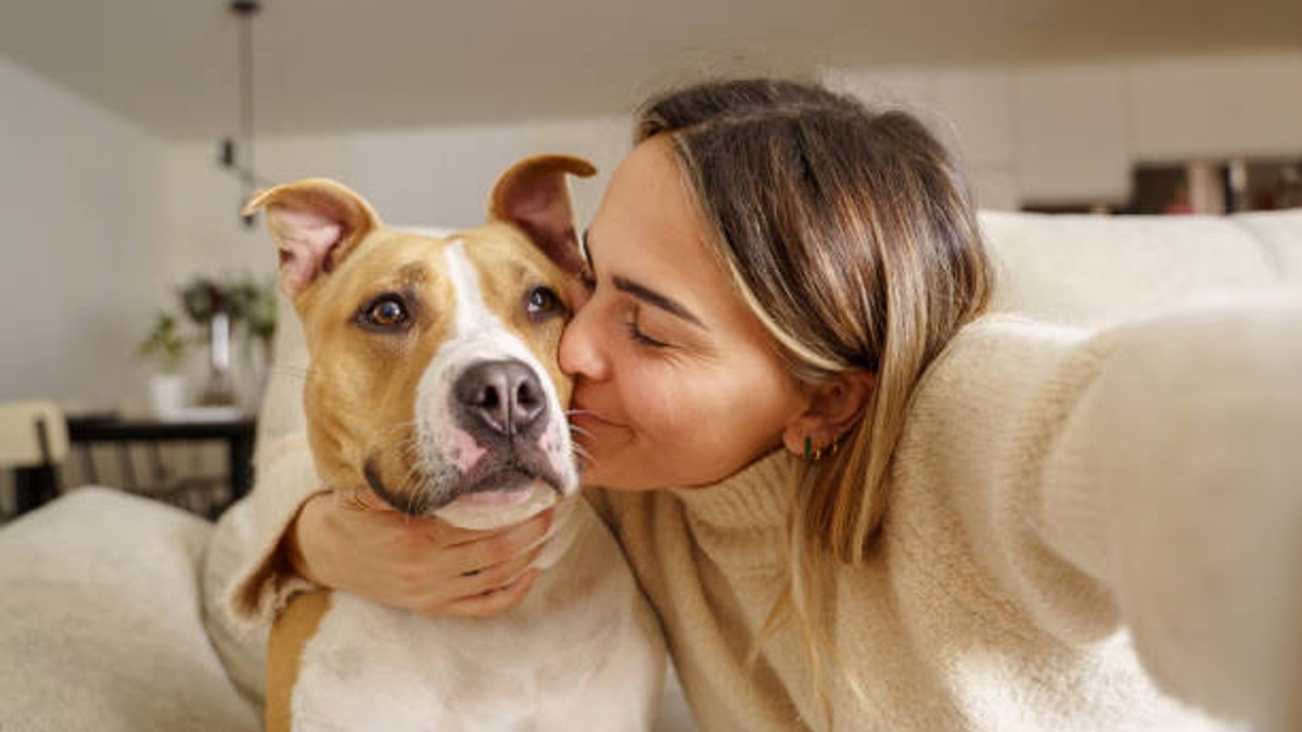 Día de la Mamá Perruna: Ideas de regalos para las “dogmoms” amantes de ...
