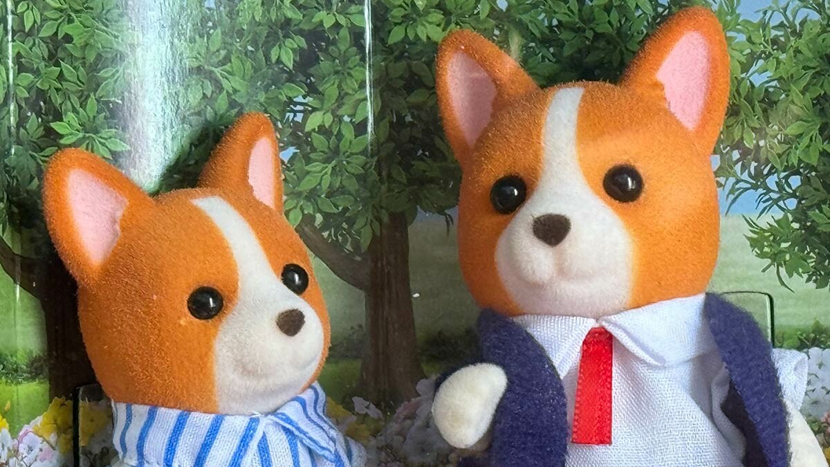 ¿Qué son los ternurines? Su origen y dónde comprar a estos animalitos ...