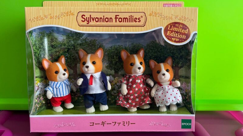 ¿Qué son los ternurines? Su origen y dónde comprar a estos animalitos ...