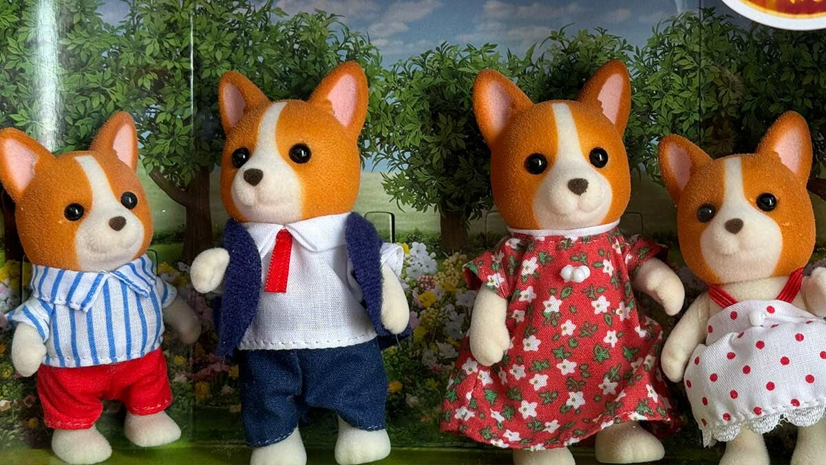 ¿Qué son los ternurines? Su origen y dónde comprar a estos animalitos ...