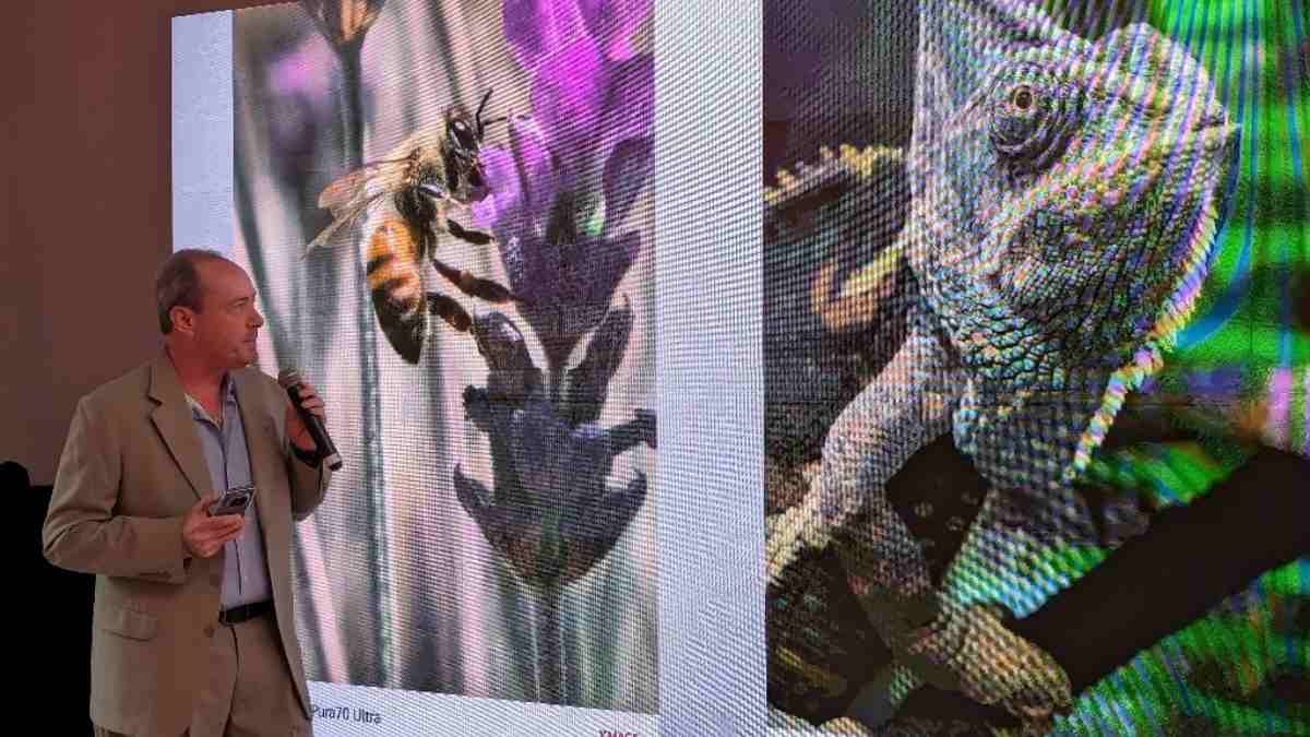 Huawei XMAGE 2024: la exposición con 300 fotos tomadas con celular - UnoTV