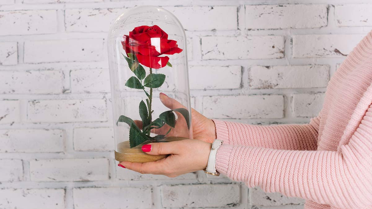 Rosas eternas, ¿qué son y qué significan? - UnoTV