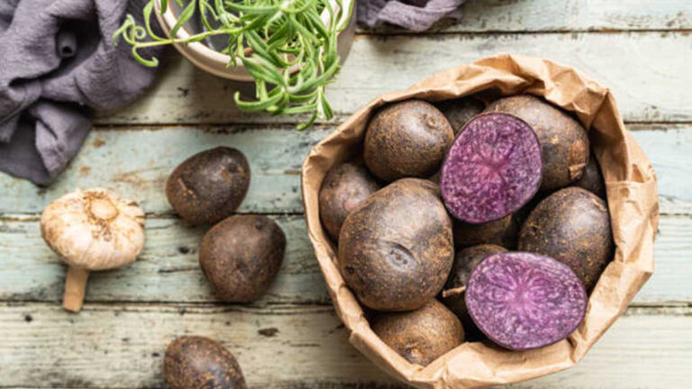 La papa de color morado; conoce sus beneficios y propiedades - UnoTV