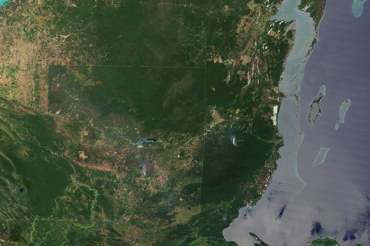 La devastación de la Selva Maya, NASA muestra fotos alarmantes - UnoTV