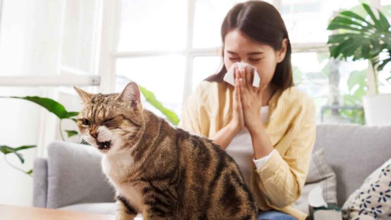 Enfermedades que pueden contagiarse de animales a humanos- UnoTV